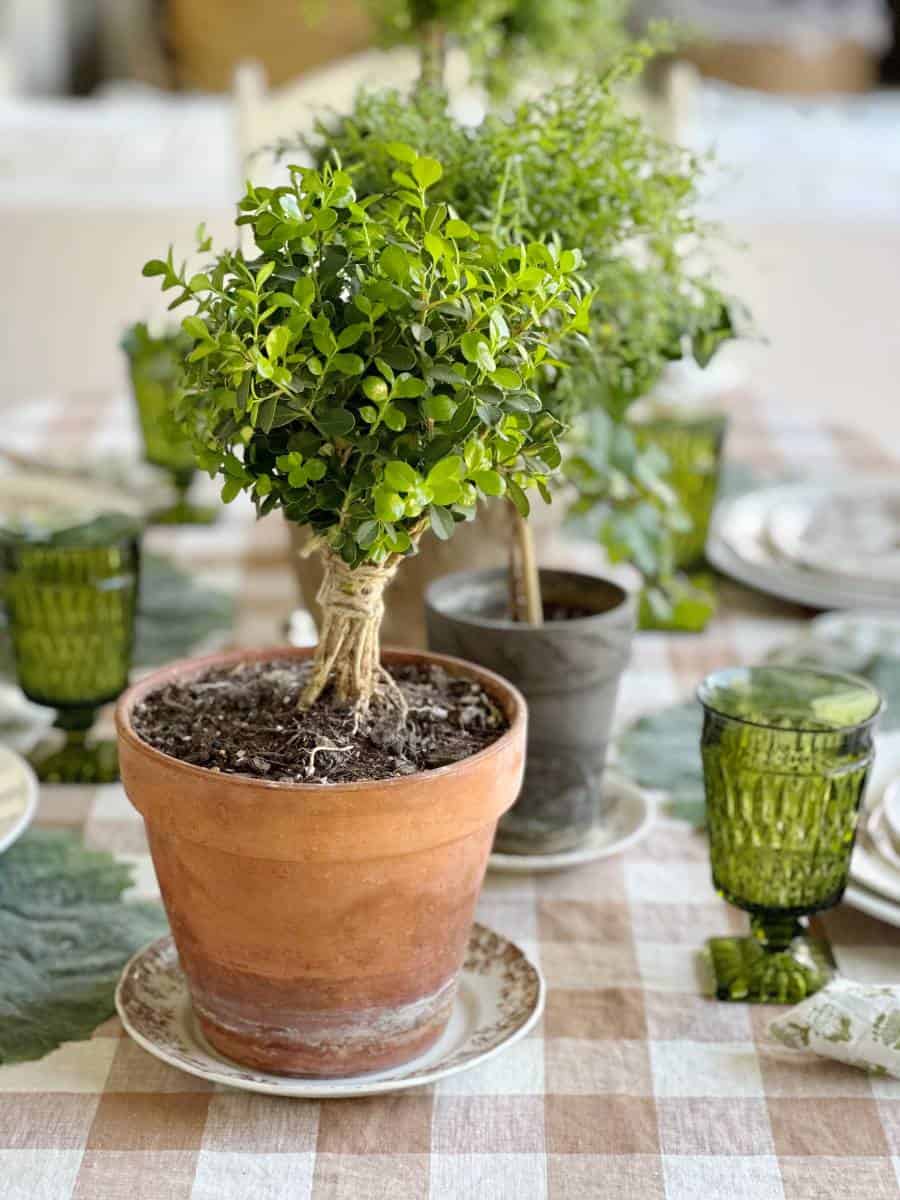 Vintage Home Designs